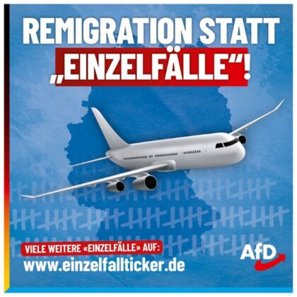 AfD uses fake air ticket to promote deportations from Germany